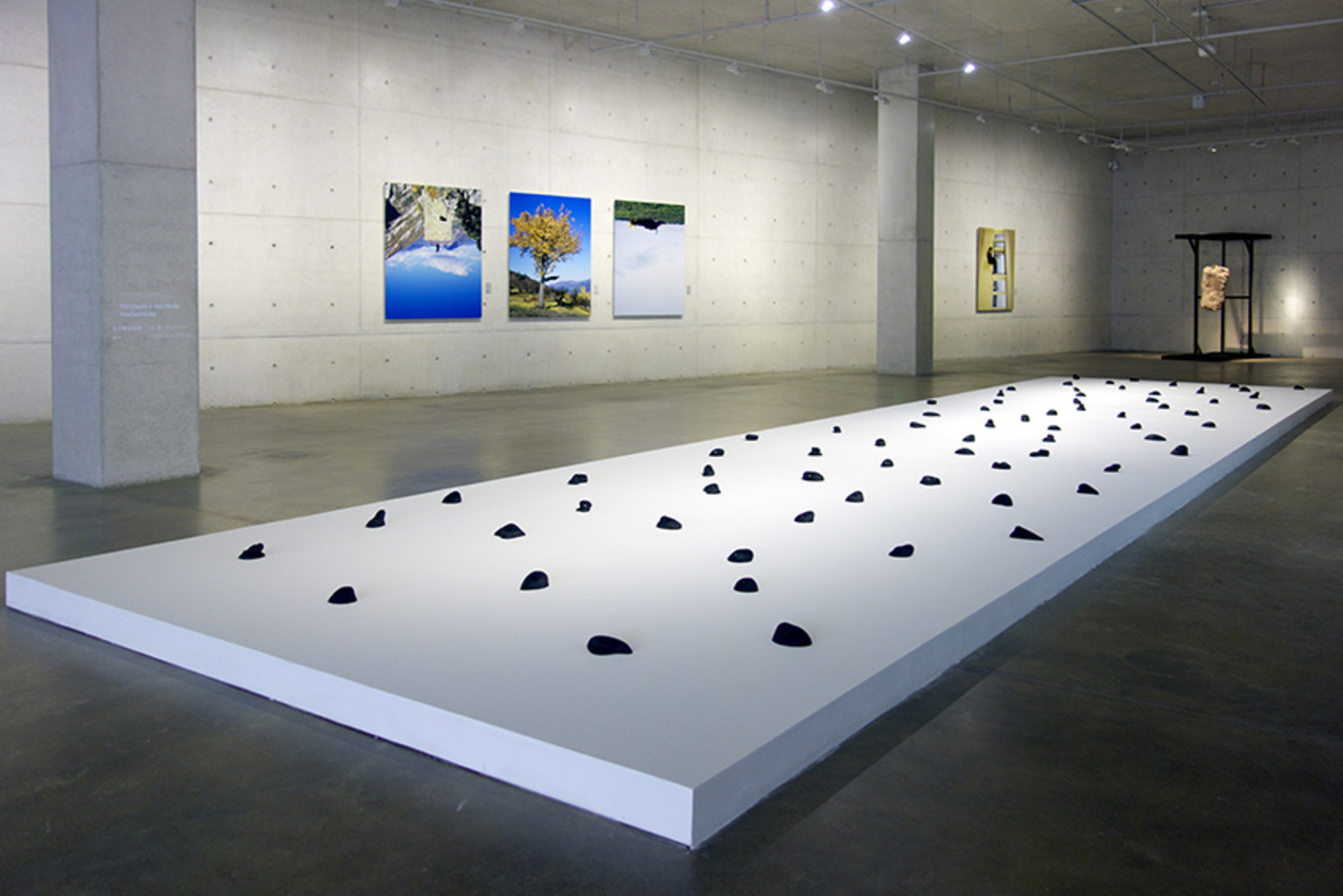 Jérôme Sans . Philippe Ramette - The shadow that wanted to see the ...